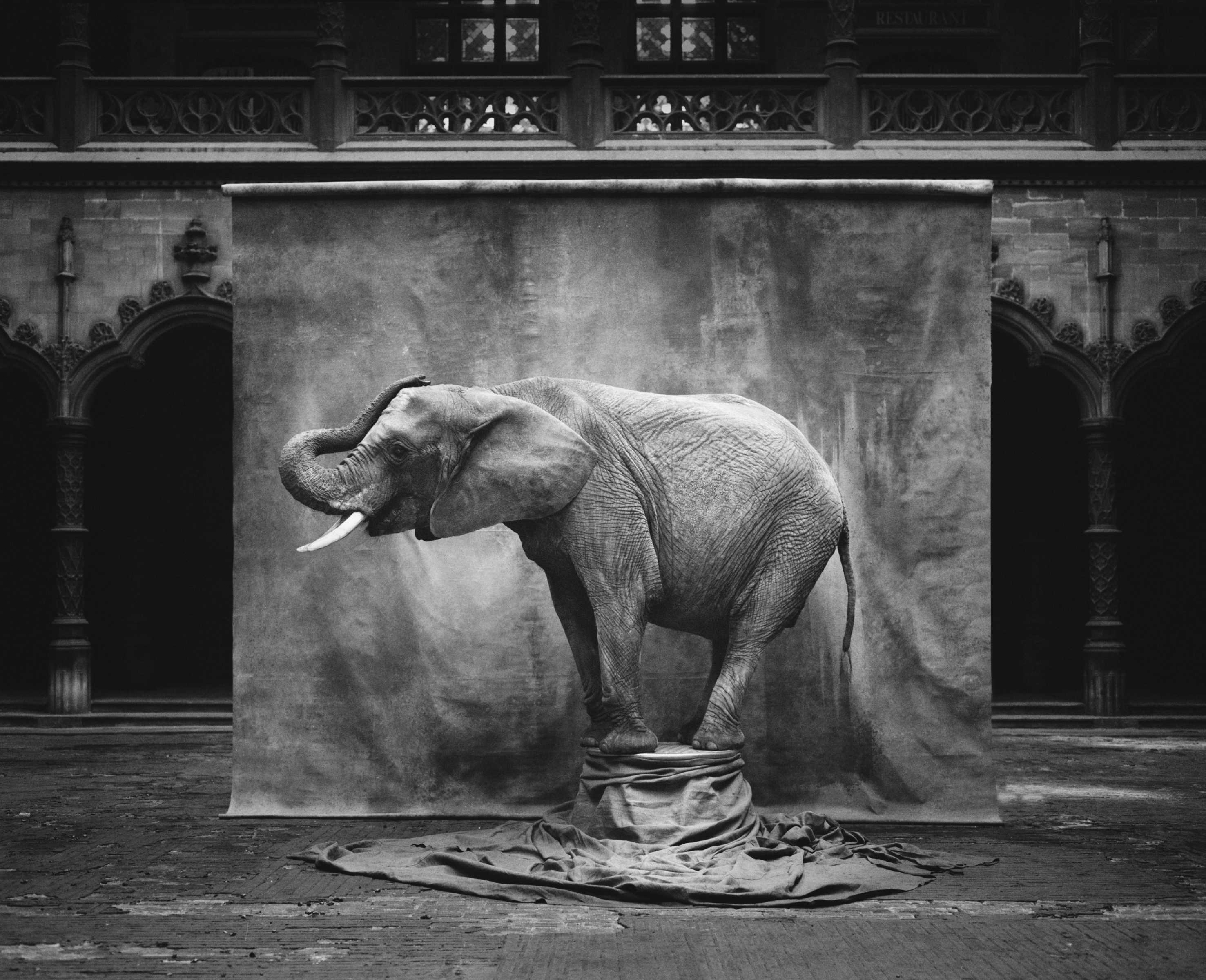 BuBu | Marc Lagrange